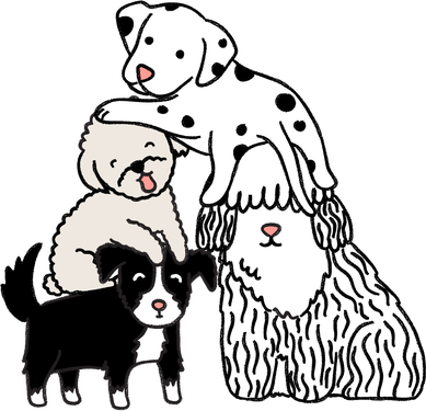 A guide to the most common cockapoo health problems | ManyPets