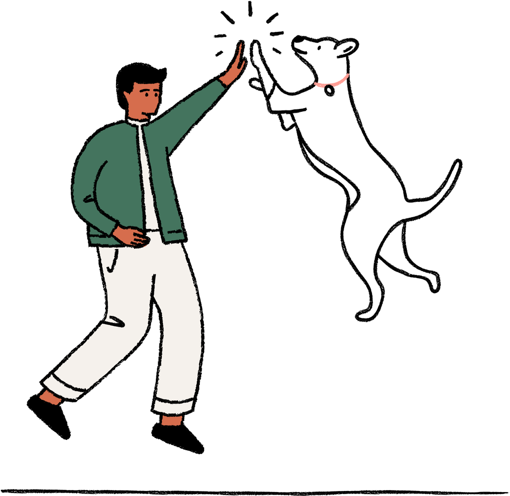 Why use online pharmacies for pet meds | ManyPets