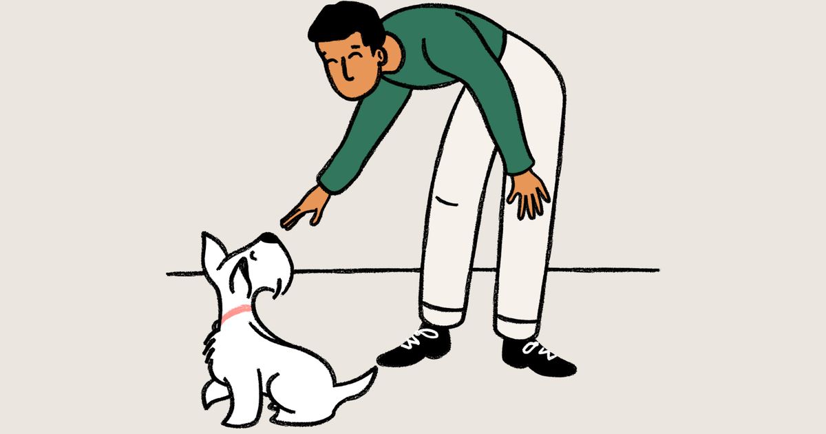 How to teach your dog to come back when called | ManyPets