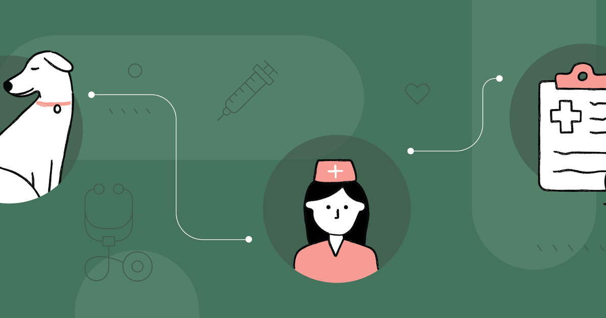 What are pet medical records (and how do you get them)? | ManyPets