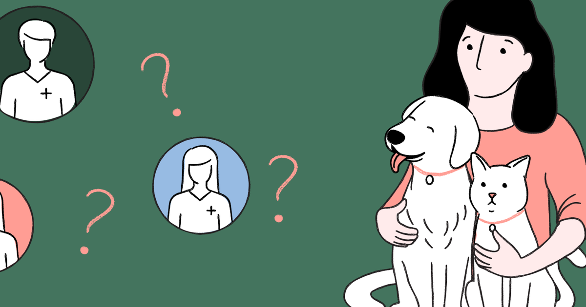 How to choose a good vet | ManyPets