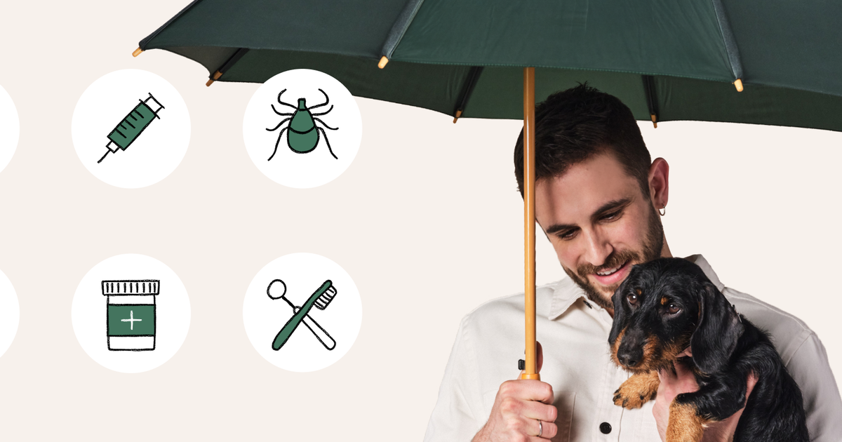 What does pet insurance cover? | ManyPets