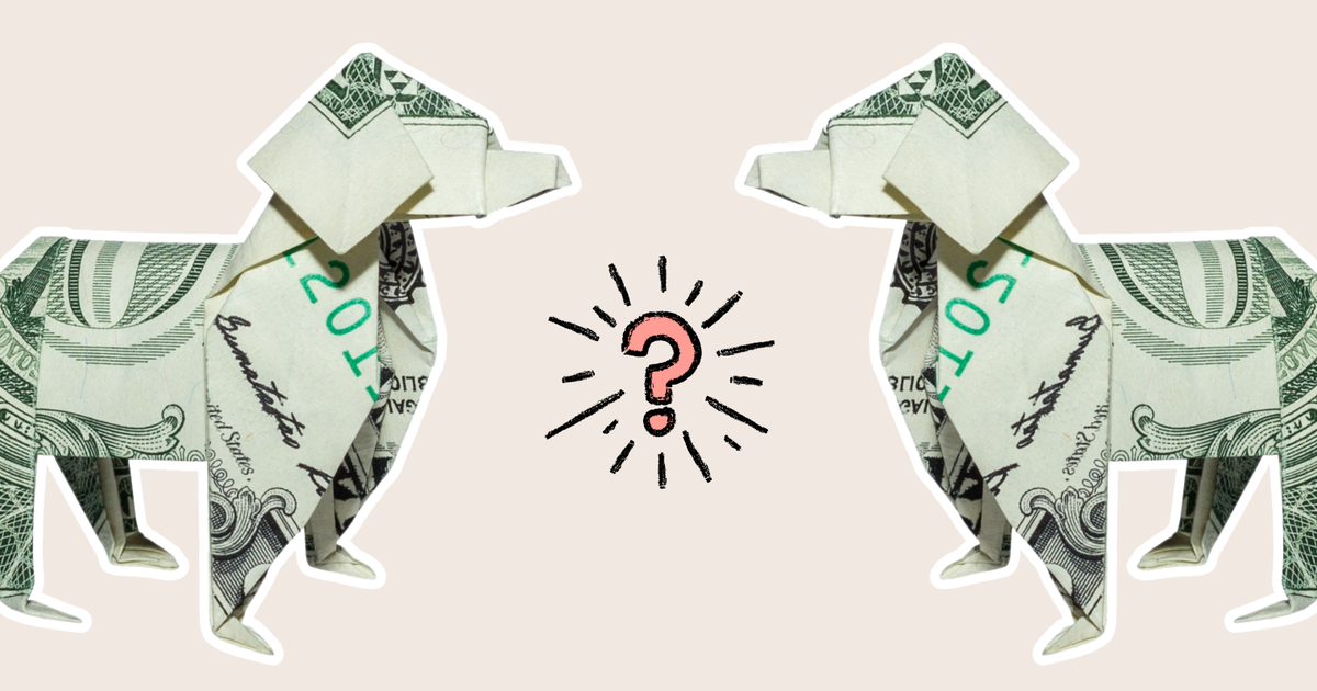 How much does pet insurance cost? | ManyPets