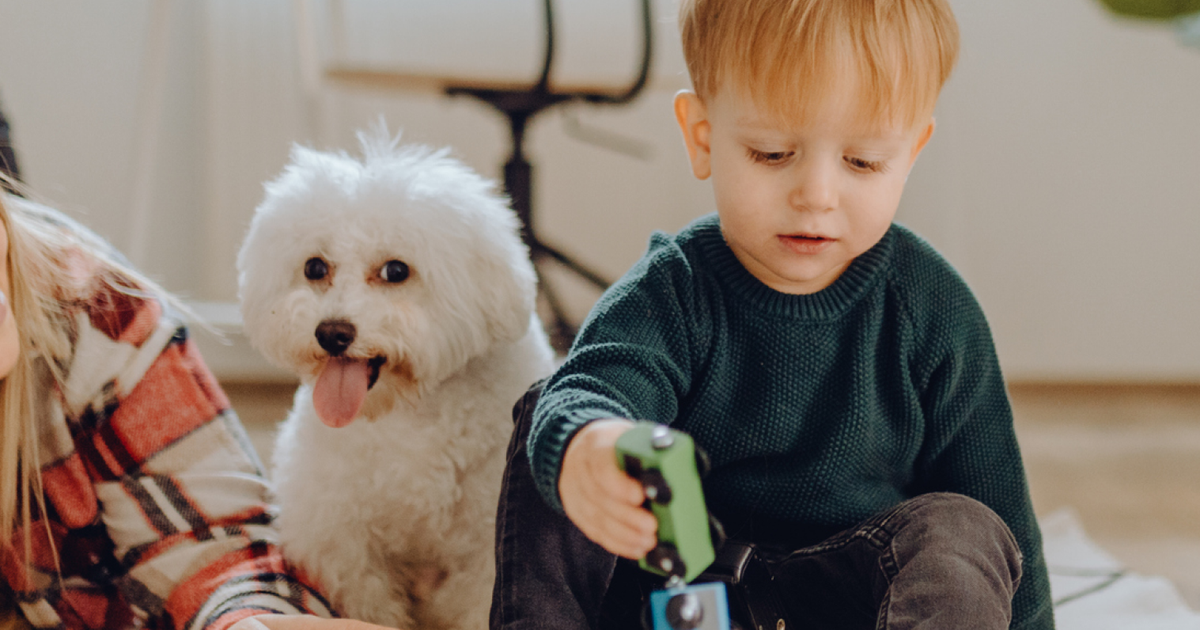 Best small dogs for families | ManyPets