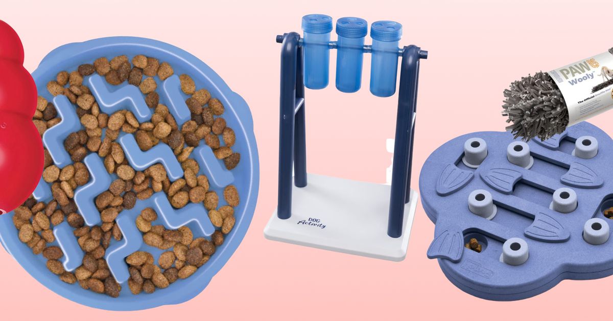 Best dogs toys for boredom and stress relief | ManyPets