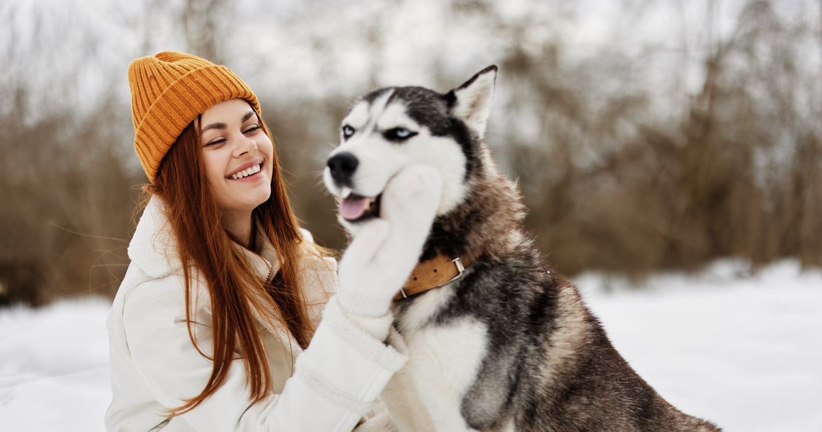12 best cold weather dog breeds | ManyPets