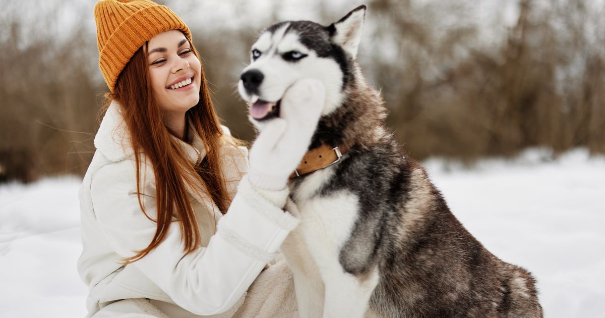 12 best cold weather dog breeds | ManyPets
