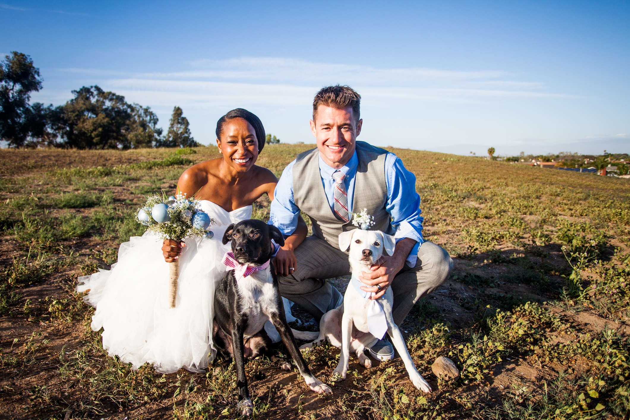 The ultimate guide to dogs at weddings | ManyPets