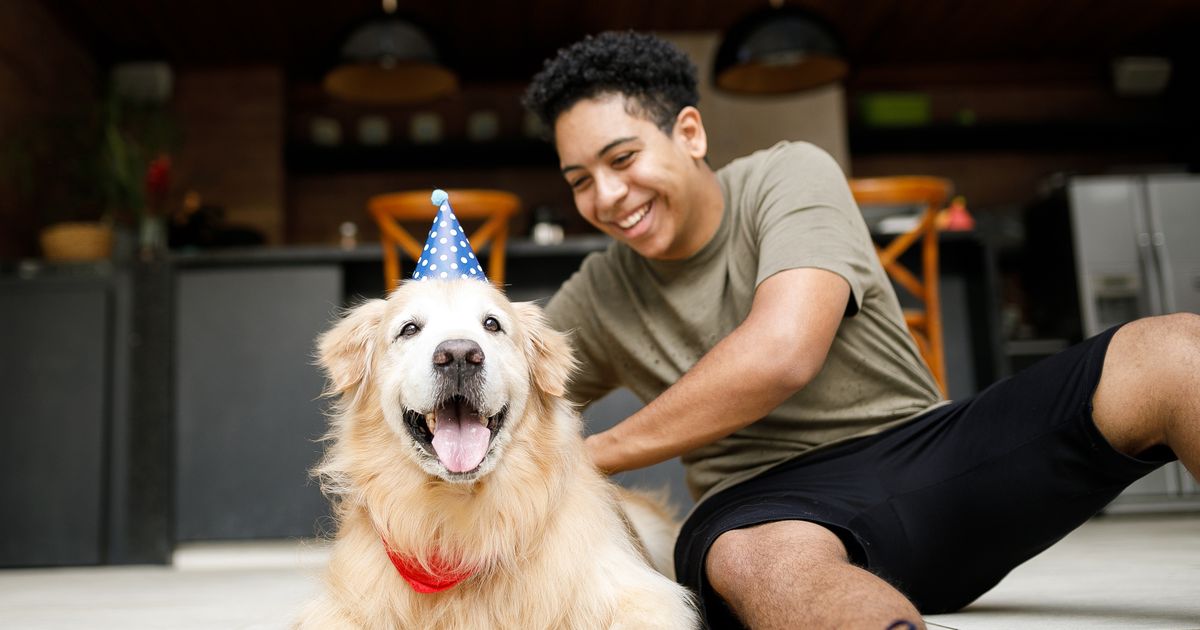 DIY dog birthday party decorations: where to get started | ManyPets