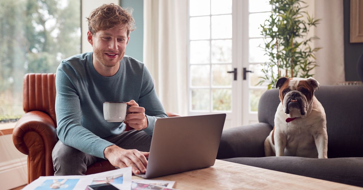 Working from home with pets: the ultimate guide | ManyPets
