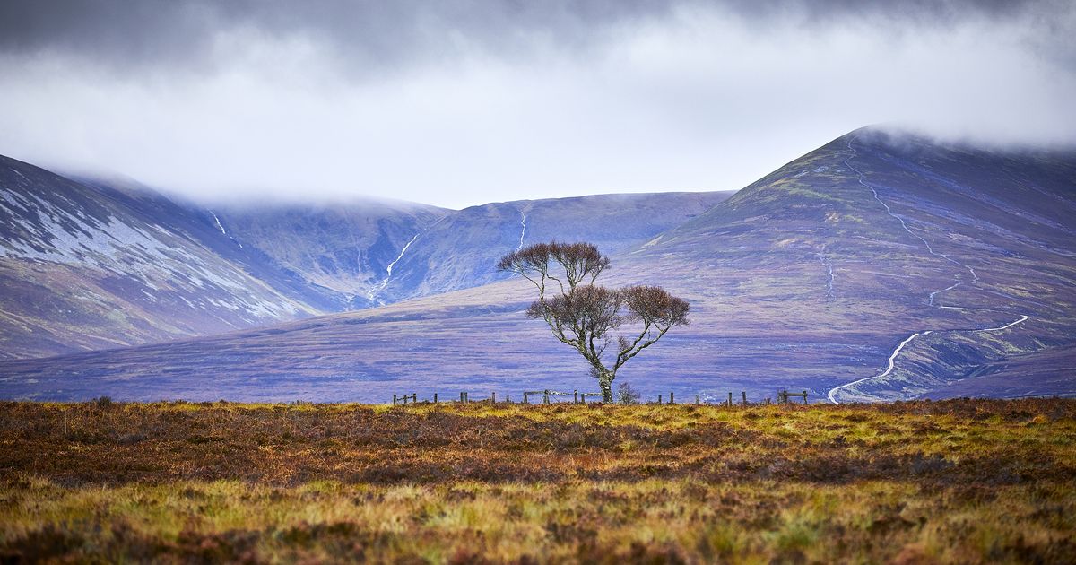 Best dog-friendly hiking spots in the UK to visit in 2025 | ManyPets
