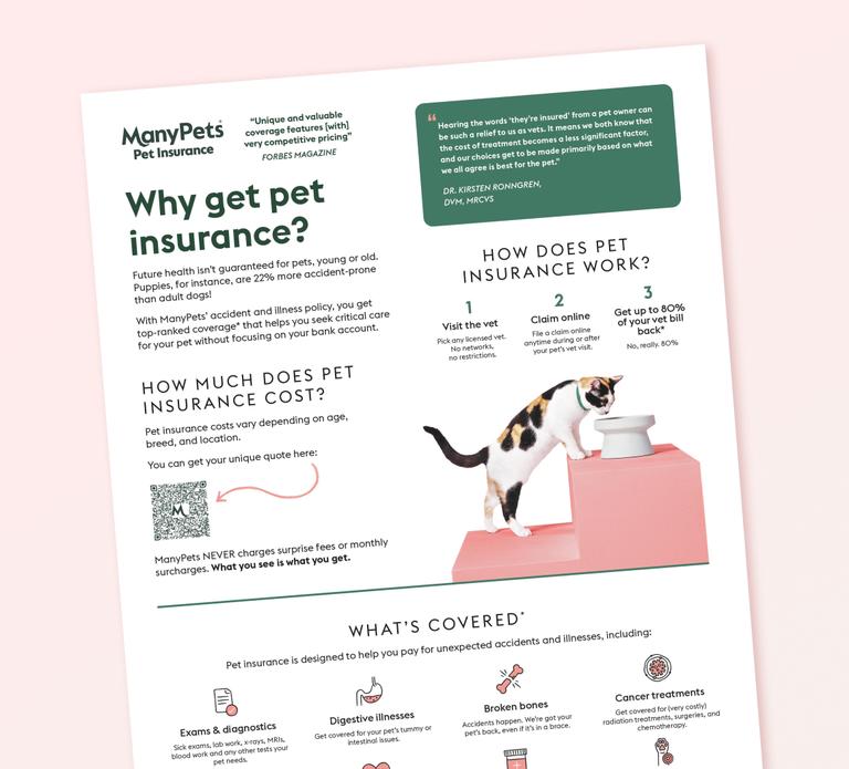 Vet-savvy pet insurance | ManyPets