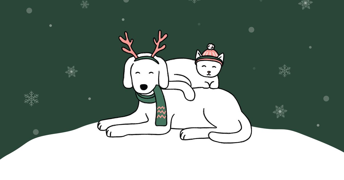 ManyPets guide to winter holiday pet safety | ManyPets