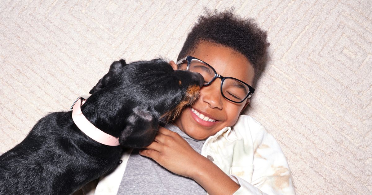 How to help your pet get along with kids | ManyPets
