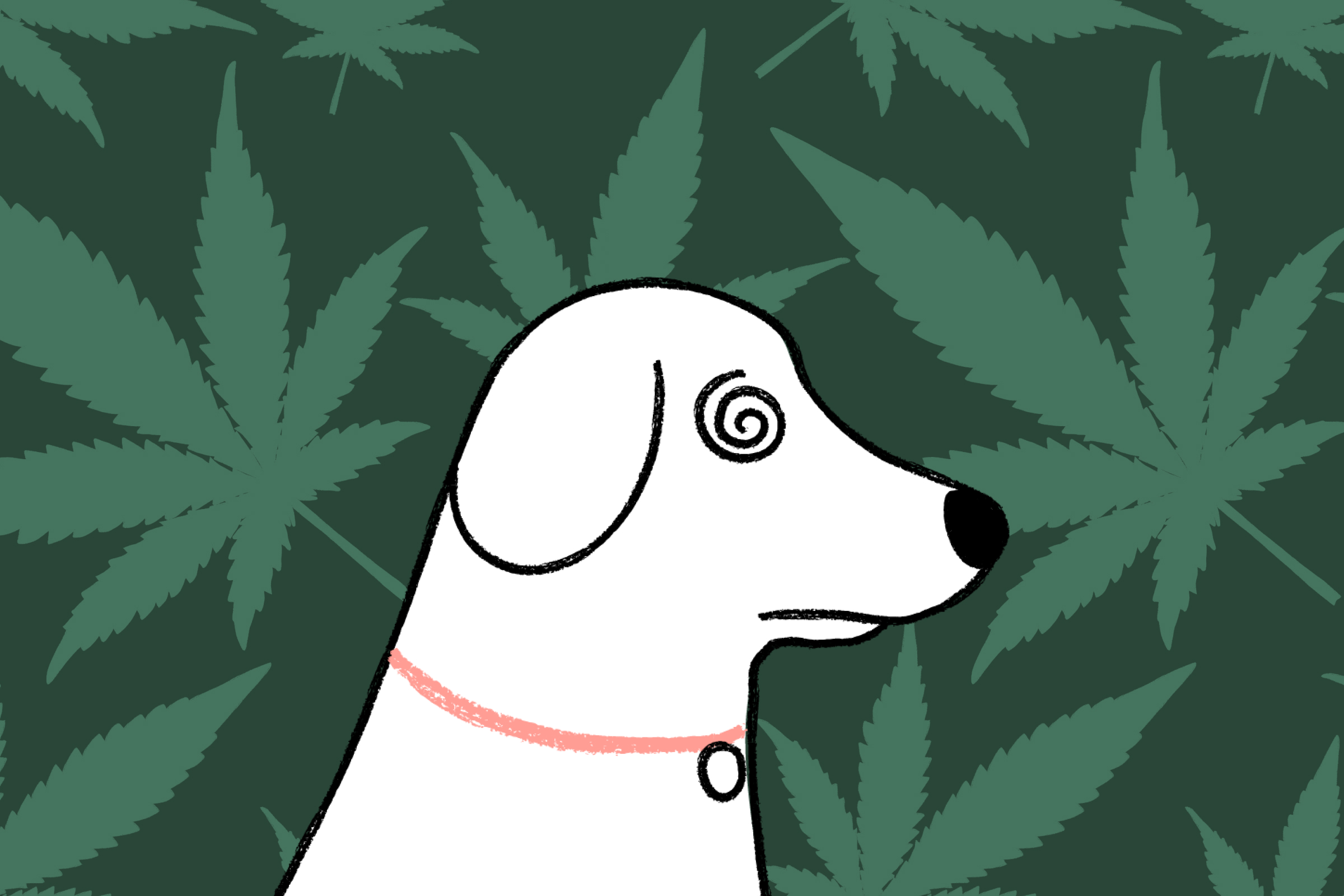 Dogs Smoking Weed