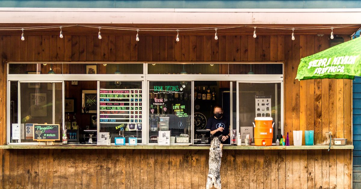 The ultimate guide to dog friendly Austin | ManyPets