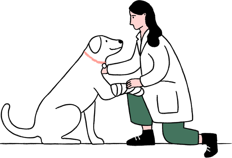 Dog Insurance: Award Winning Pet Insurance For Dogs | ManyPets