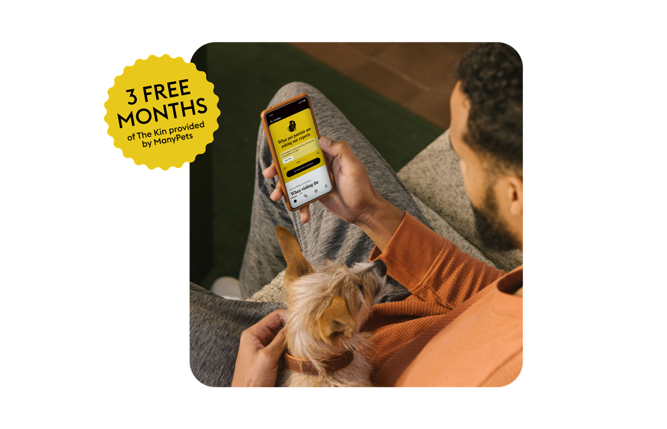 ManyPets 24/7 vet advice with Kinship Premium | ManyPets