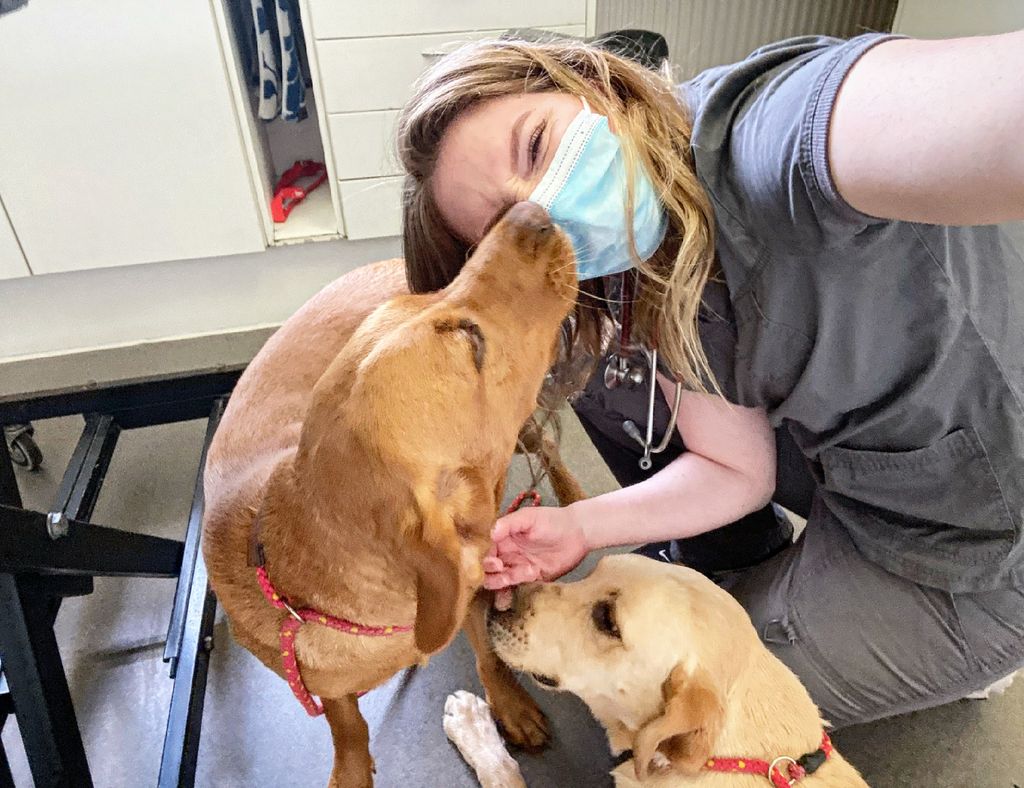 Pet insurance for pre-existing conditions | ManyPets