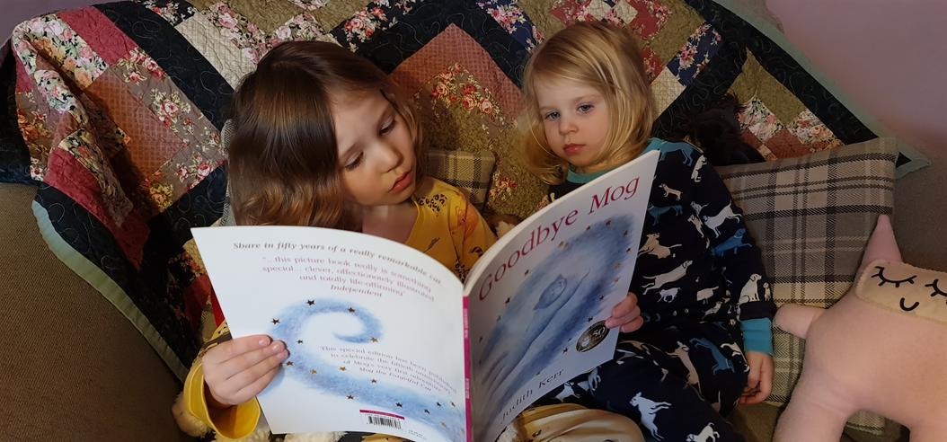 Cat and dog books for kids | ManyPets