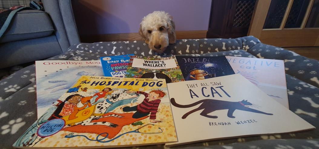Cat and dog books for kids | ManyPets