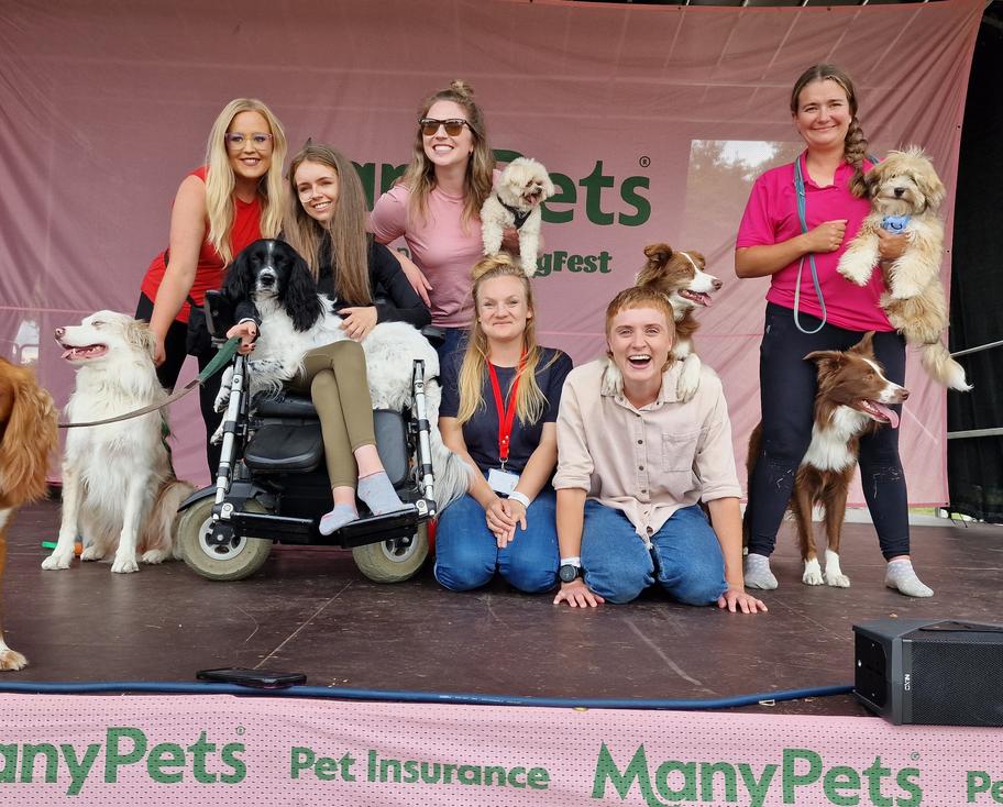 About ManyPets: our mission for pets and their parents | ManyPets