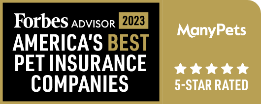 Multi-pet insurance quotes | award-winning cover | ManyPets