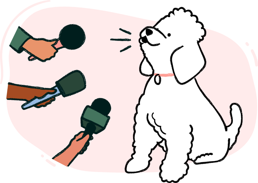 Why won't my dog stop barking? | ManyPets