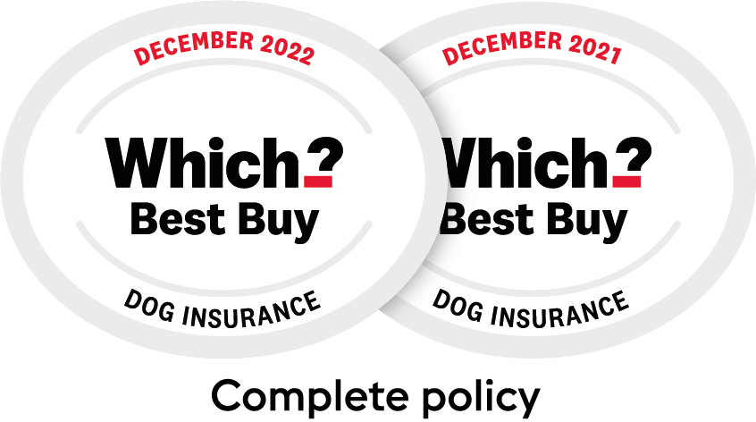 Dog Insurance: Award Winning Pet Insurance For Dogs | ManyPets