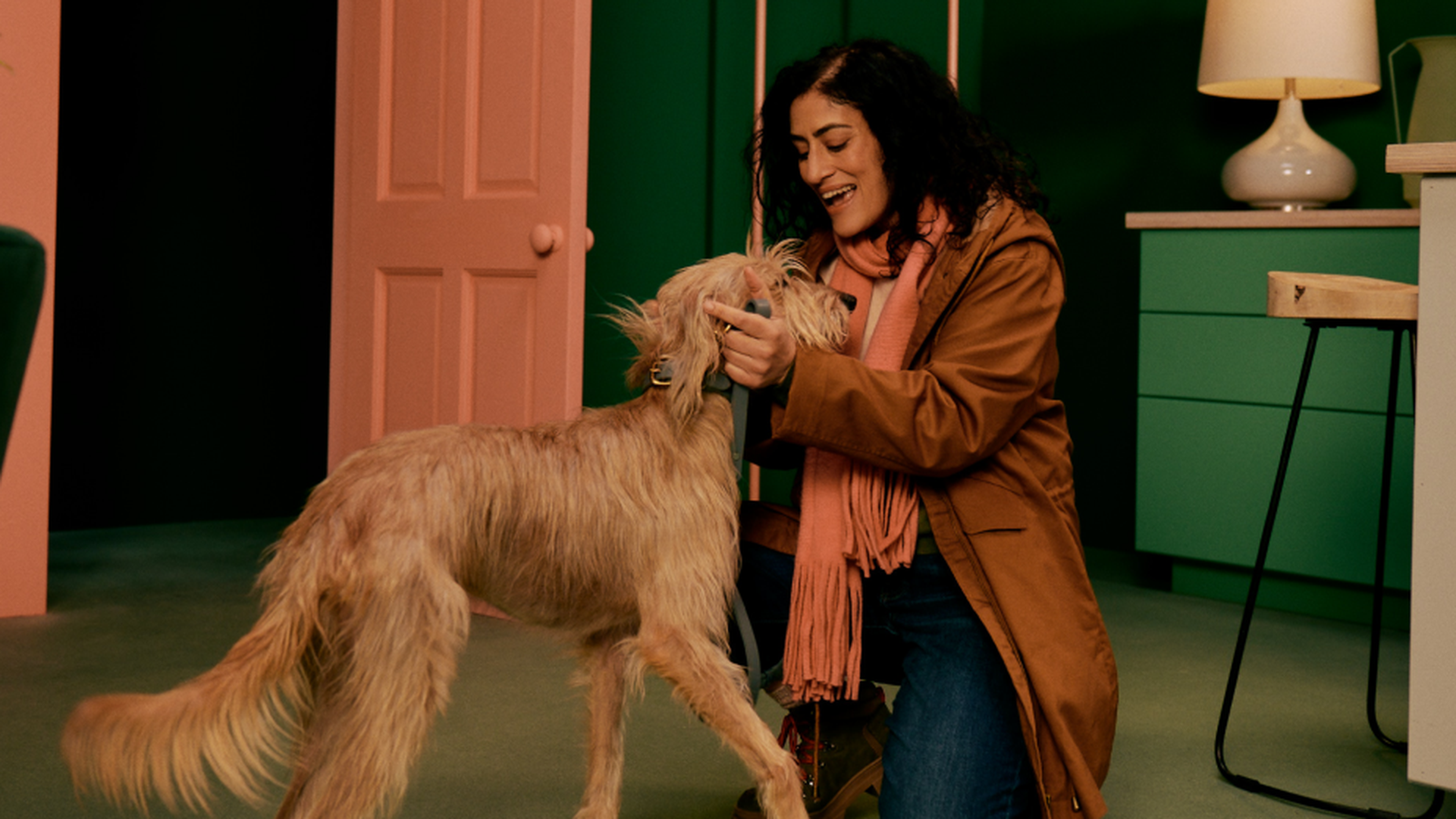 Lifetime Pet Insurance | Award Winning Cover | ManyPets