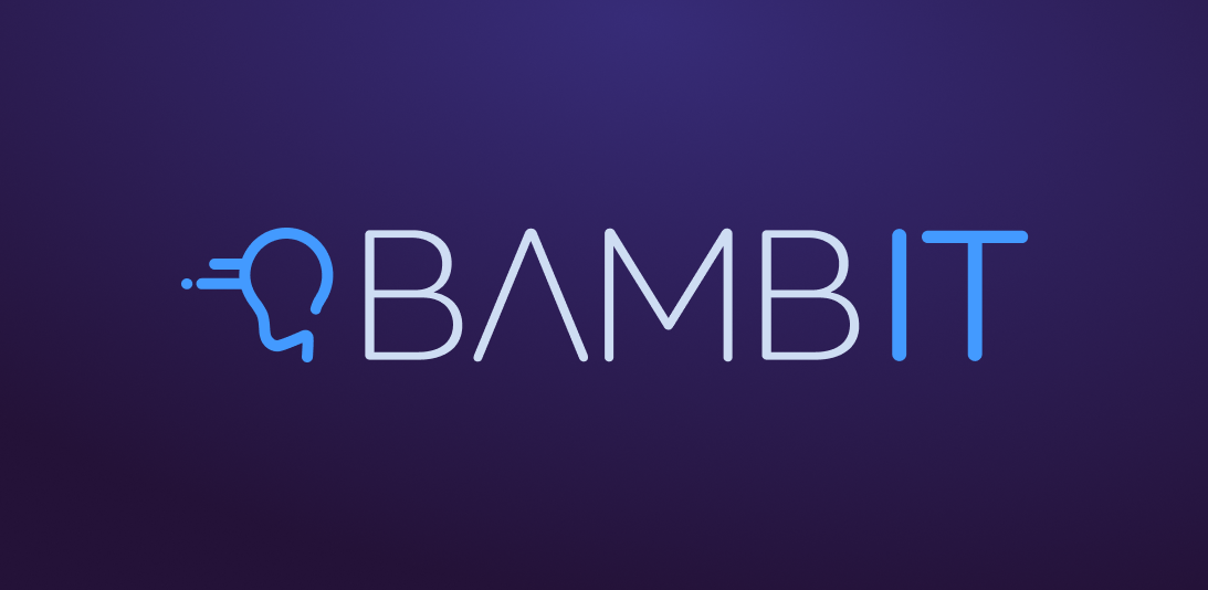 BAMBIT | Tworzymy innowacyjne rozwiązania internetowe