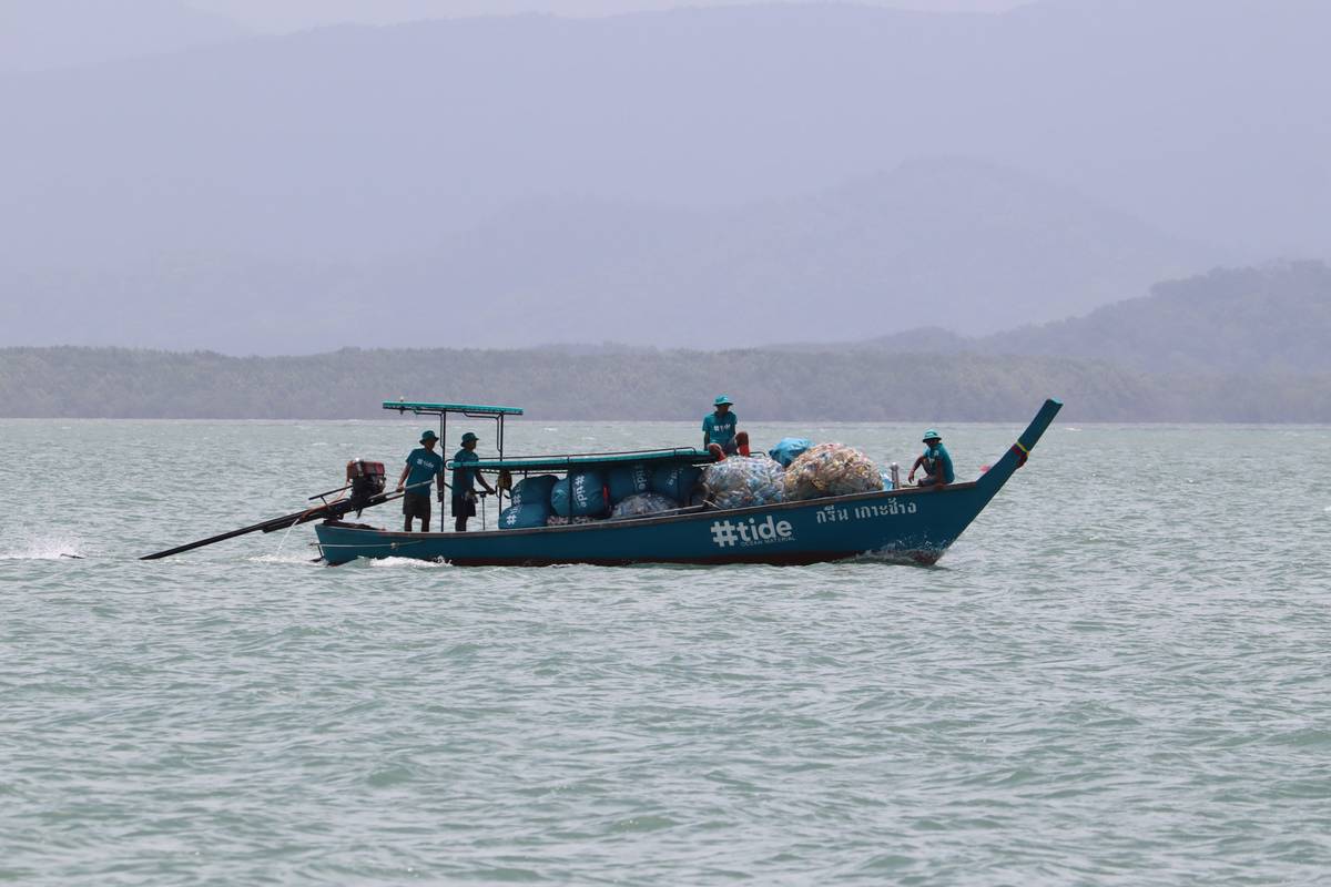 #tide ocean material | #tide ocean material®