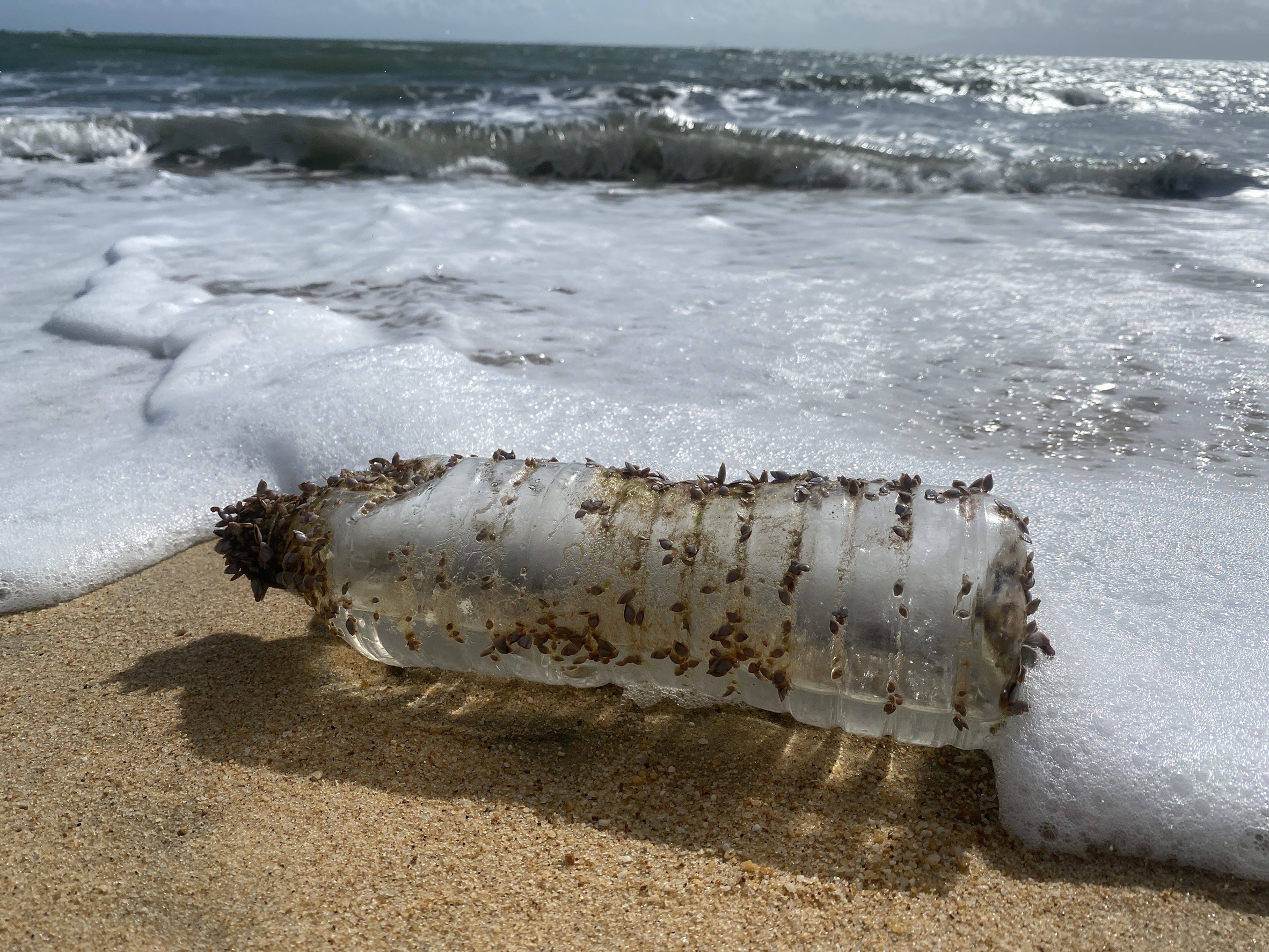 #tide ocean material | Plastic pollution facts