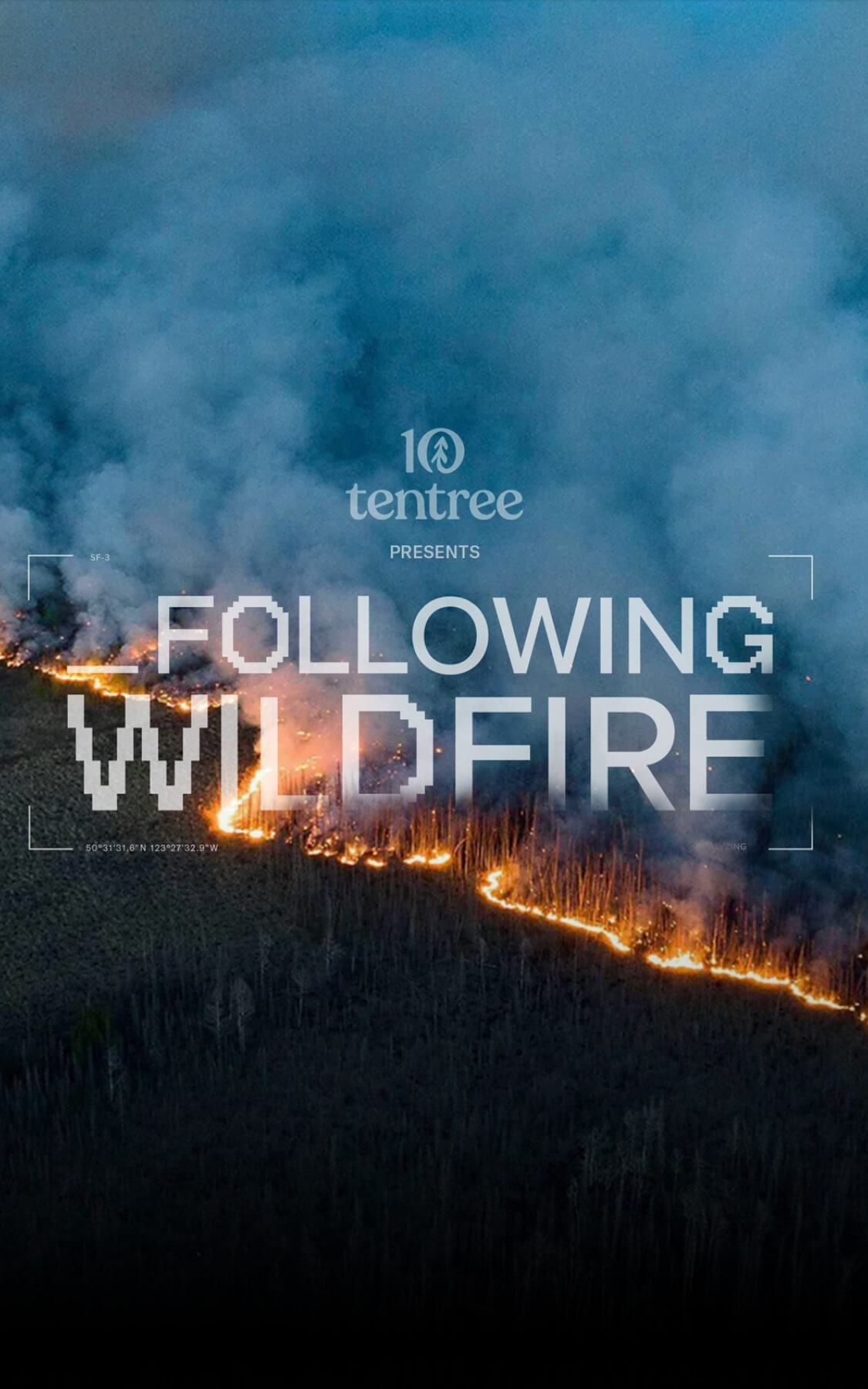 tentree Following Wildfire case study | Dentsu Creative