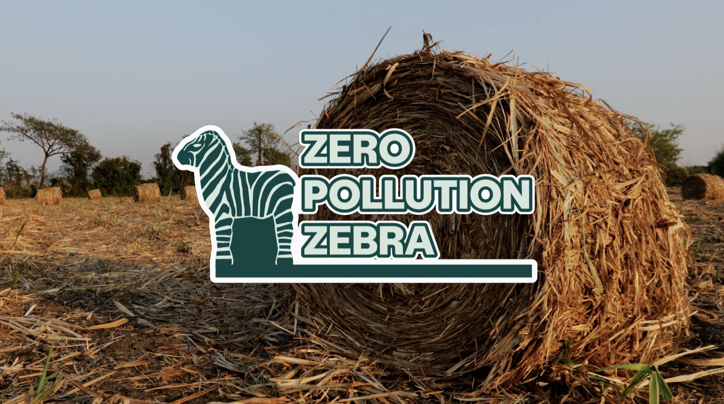Zero Pollution Zebra Eco Votive Innovation | Dentsu Creative
