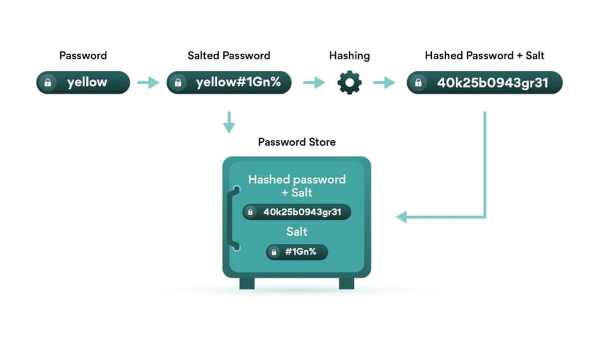 What is a password salt? | NordPass