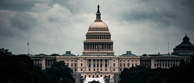 Congressional Stock Trading: Who Trades and Makes the Most