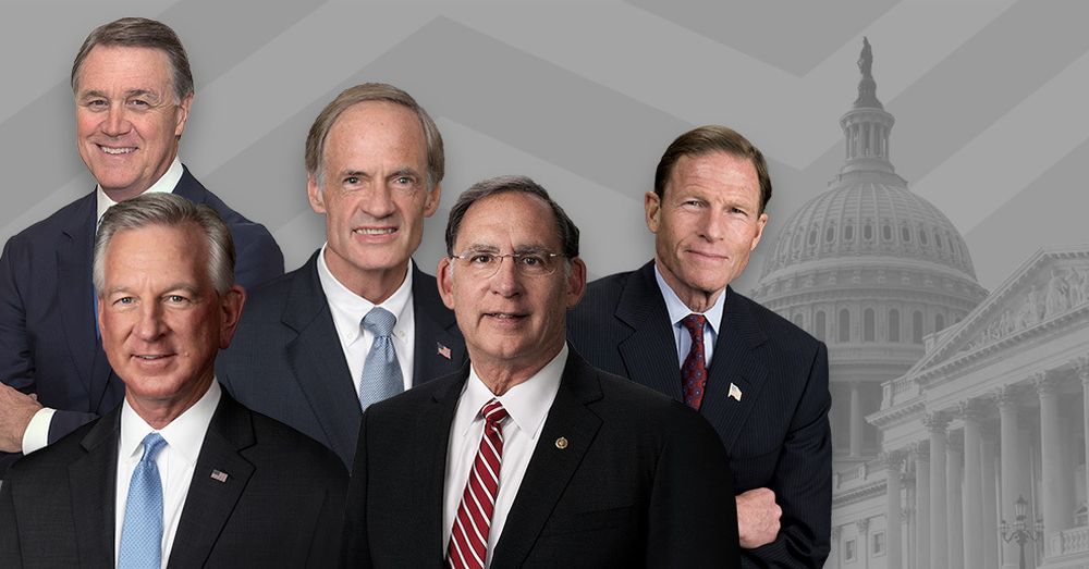 Who Are the Most Active Stock Market Traders in Senate?