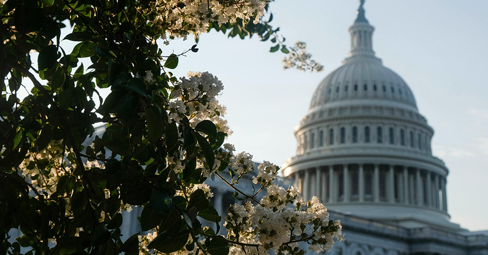 As Members of Congress Buy Stocks, Social Media Accounts Are Tracking ...