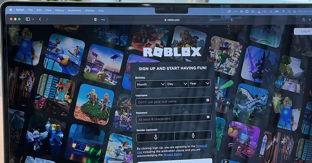 Roblox Crashes 20% on Soft Q2 Results
