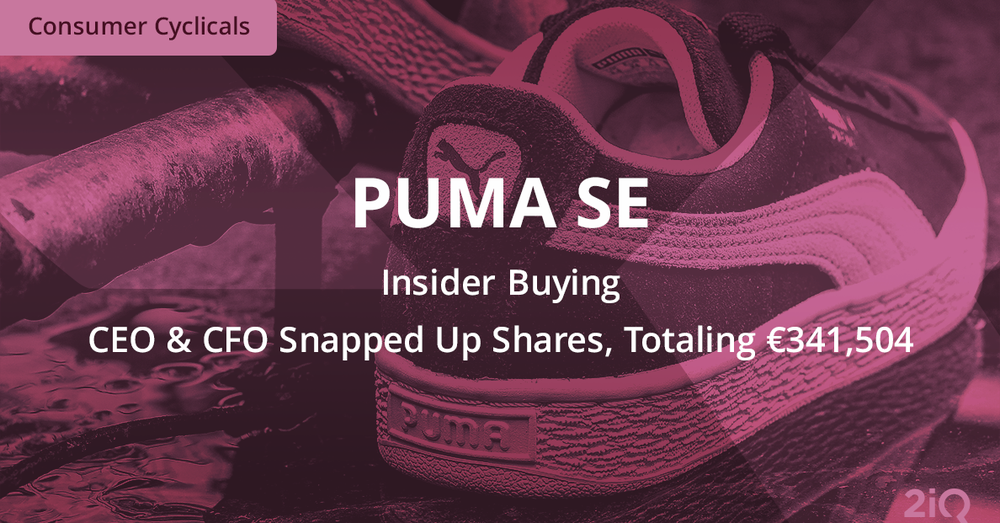 Top-level Insiders at PUMA Just Bought Stock