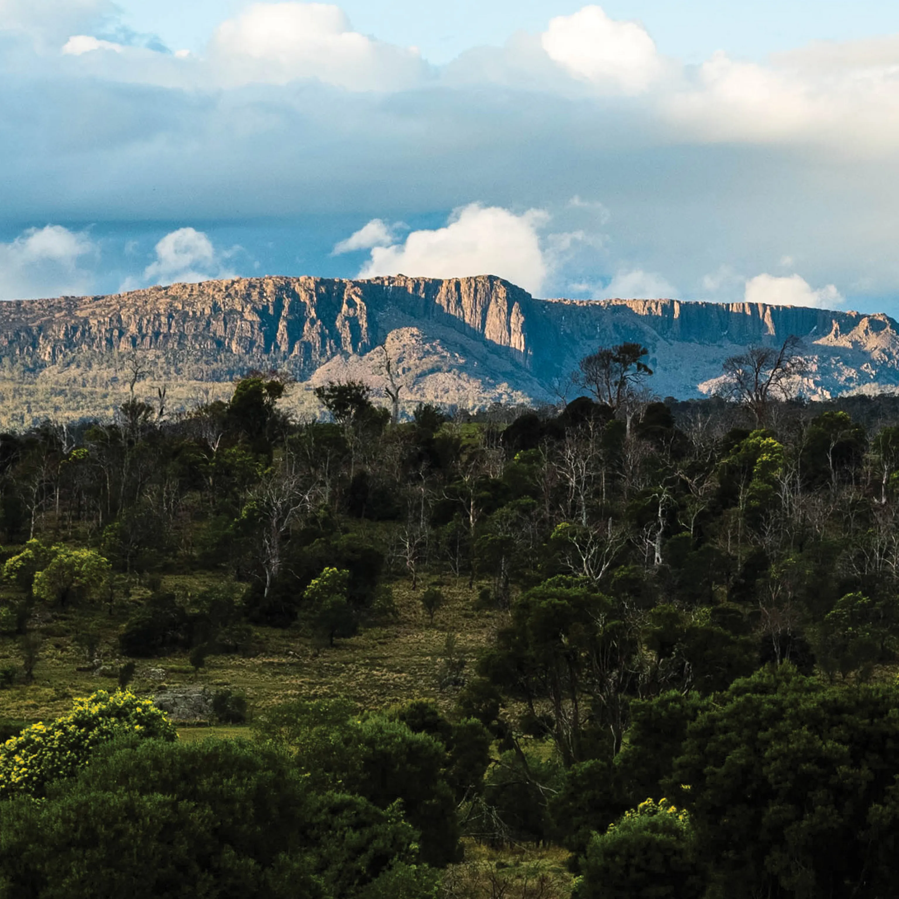 Ballantynes | M.J. Bale