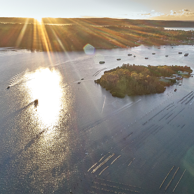 Appellation Oysters Estuary Guide | Appellation