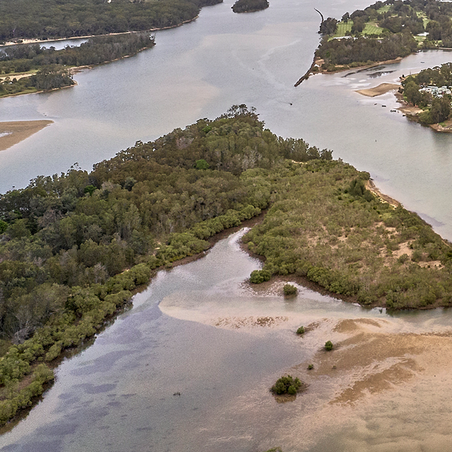 Appellation Oysters Estuary Guide | Appellation