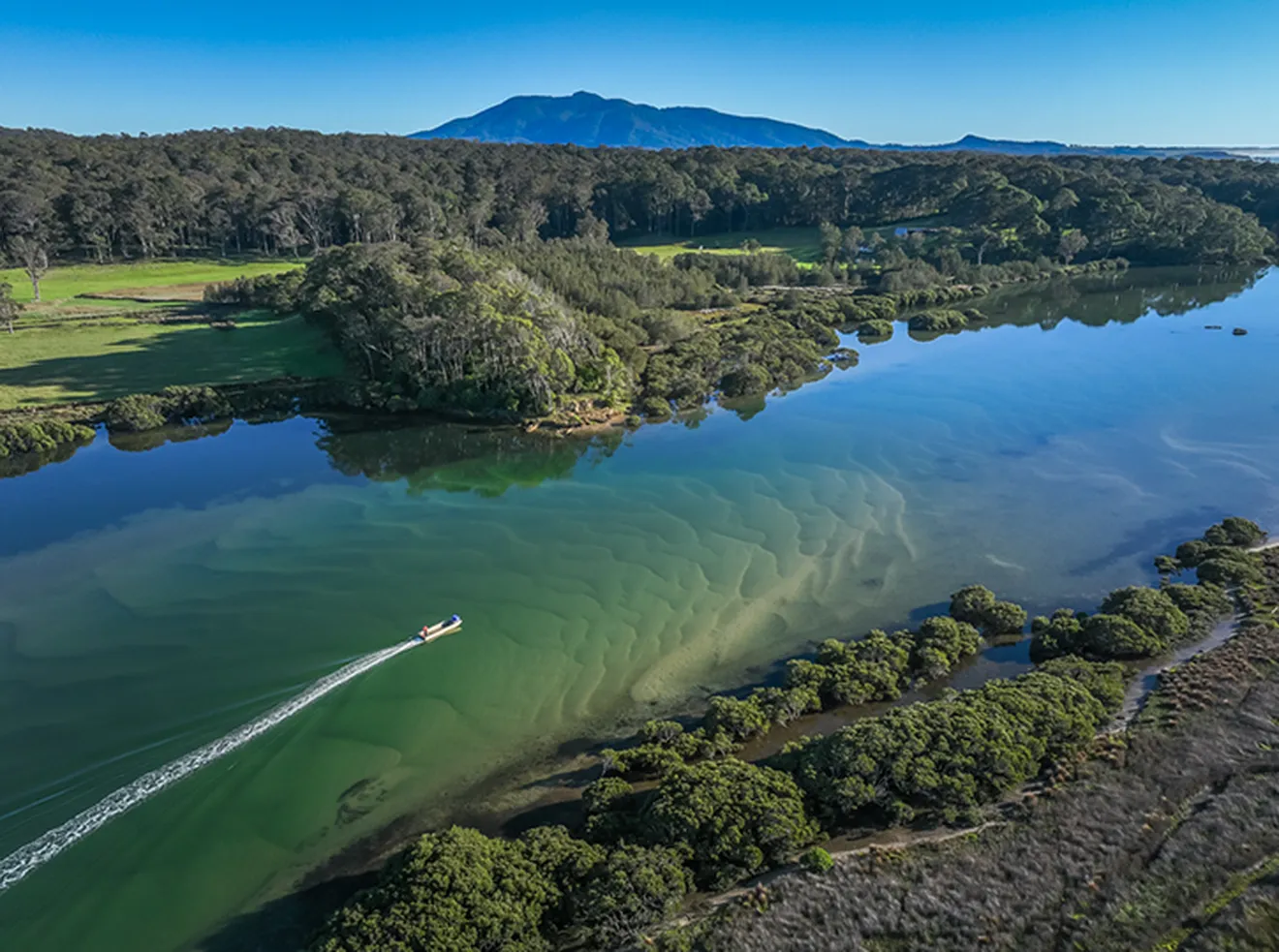 About Australia's Oyster Coast | AOC