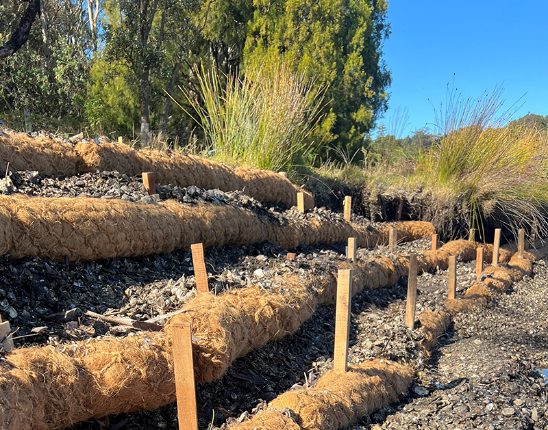 Coir Logs A Sustainable Solution For Erosion Prevention At Oyster