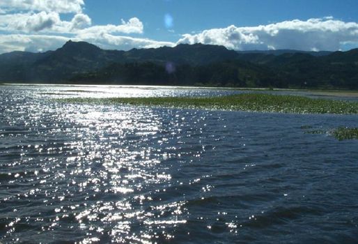 Acuerdan acciones para preservar la laguna de Fúquene | CONtexto Ganadero