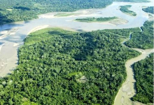 Más de 120 mil hectáreas de bosques desaparecen en la Amazonía peruana ...