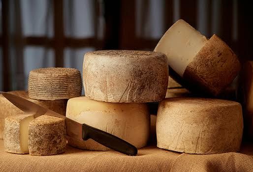 Qué hacer para mejorar la condición corporal postparto en vacas de ...