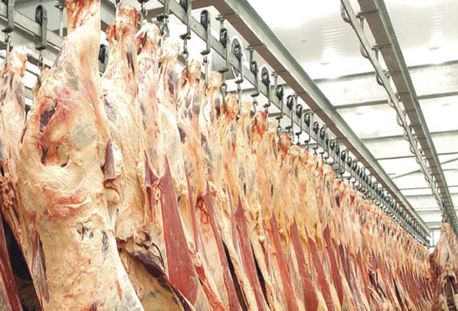 Colgar las canales por el hueso pélvico mejora jugosidad de la carne ...